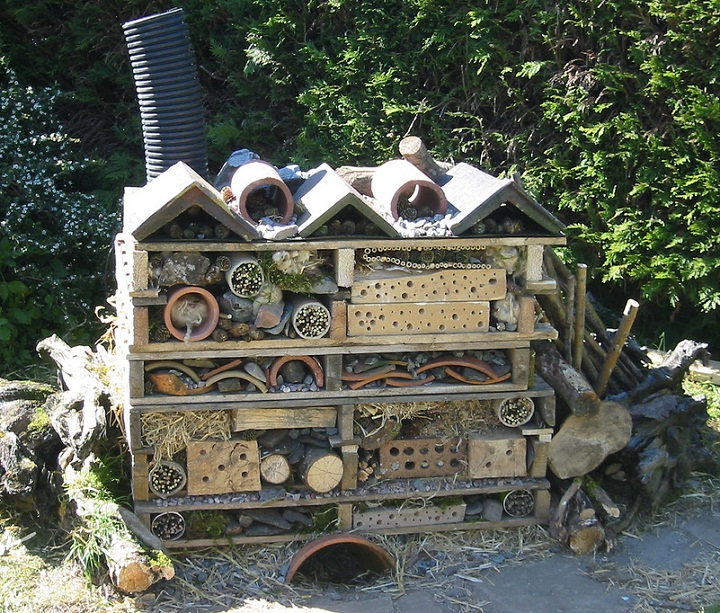 Insect Hotel • Insteading